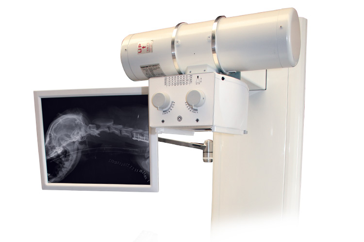 Maxivet DR con Flat-Panel System - Multimage