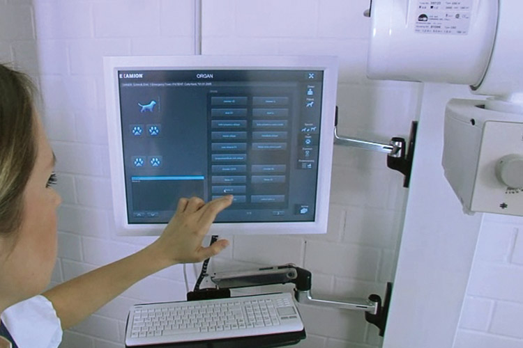 Maxivet DR con Flat-Panel System - Multimage