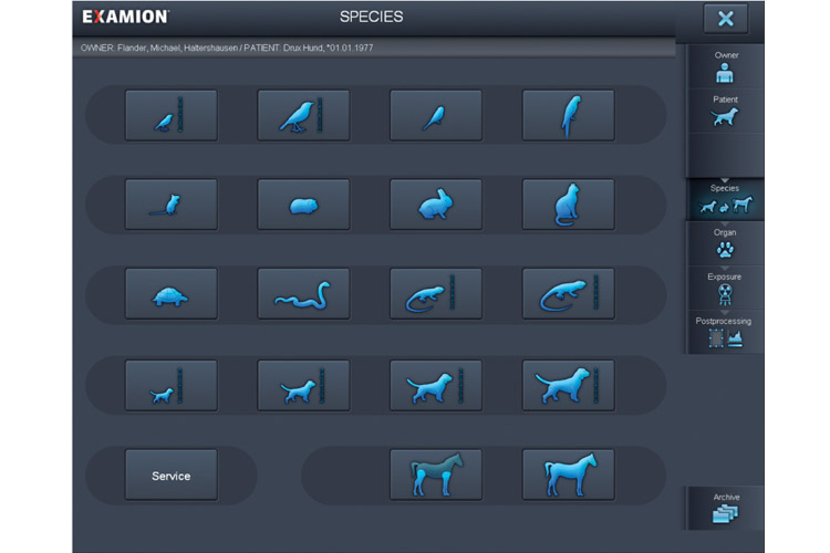 Maxivet DR con Flat-Panel System - Multimage